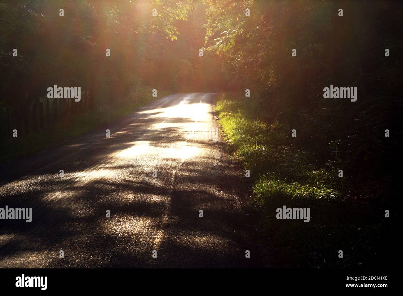 Virginia country road hi-res stock photography and images - Alamy