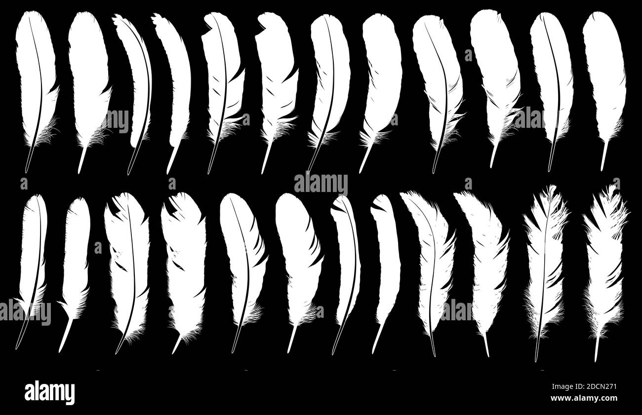 Group different animals Black and White Stock Photos & Images - Alamy