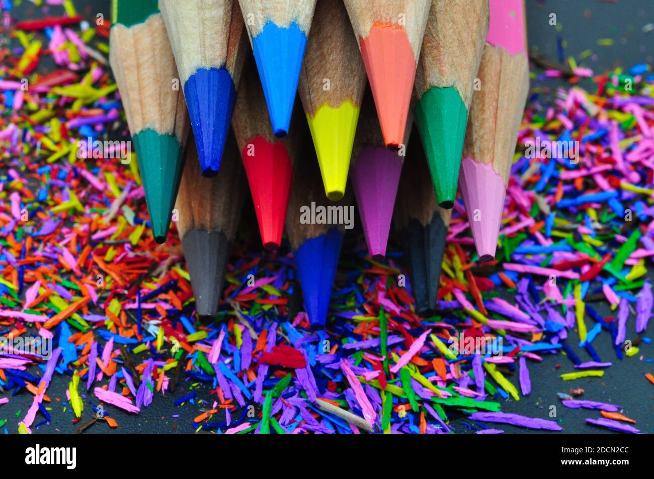 Conceptual photo representing what we are and what we could become ...