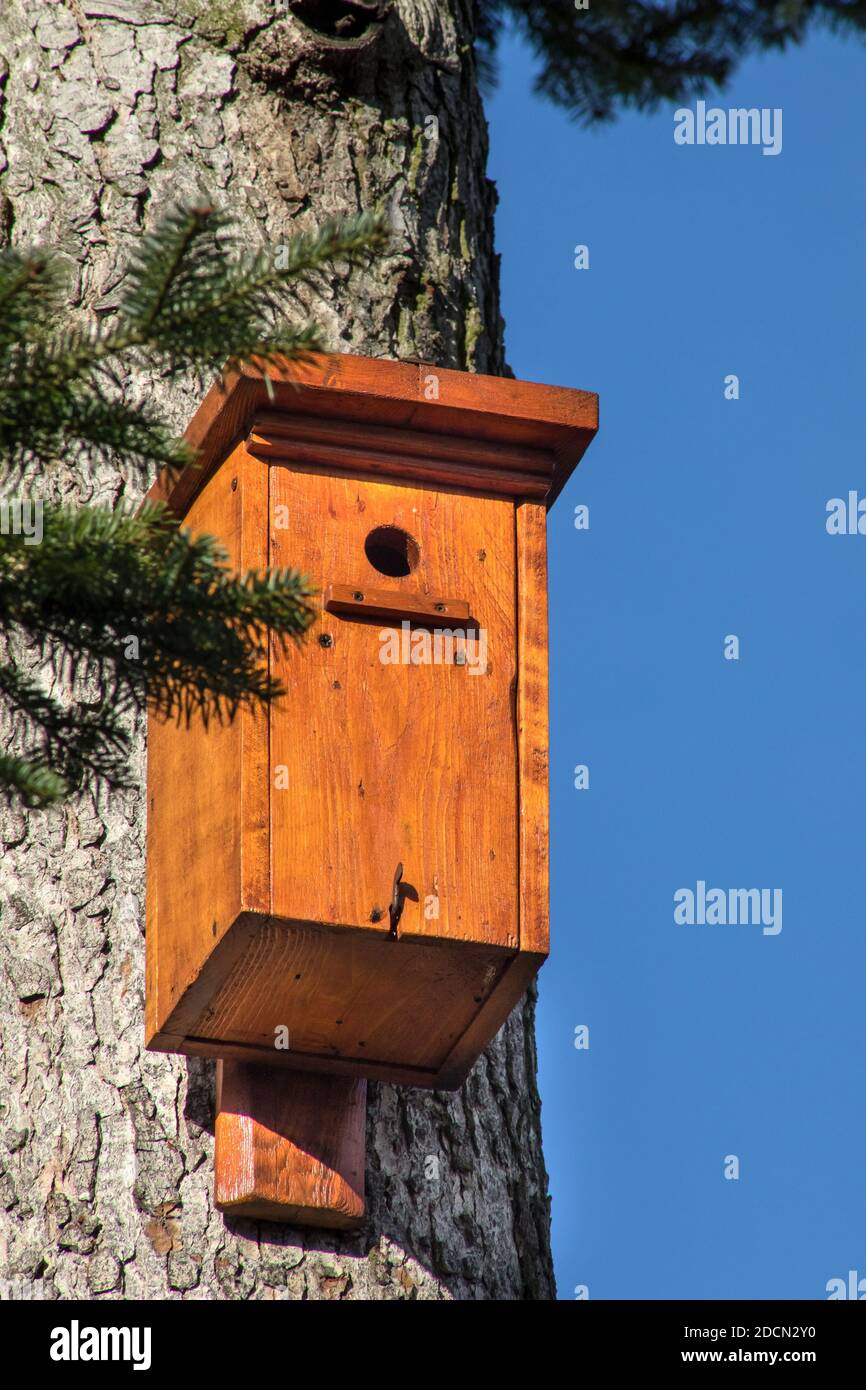 Handmade wooden birdhouse on the tree in park. Shelter for birds Stock ...