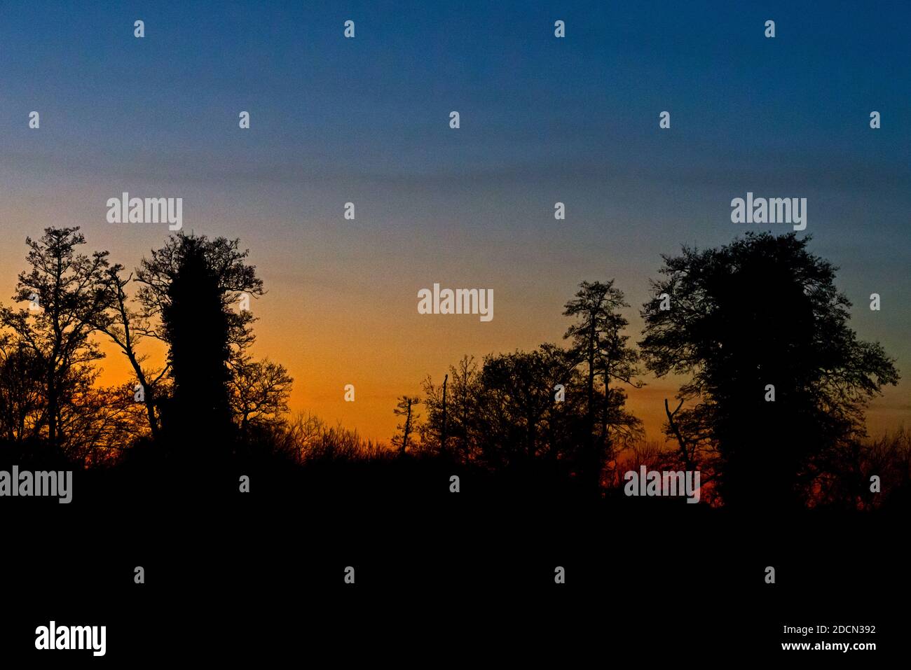 A spectacular sunset over Natural England's Shapwick Heath Nature ...