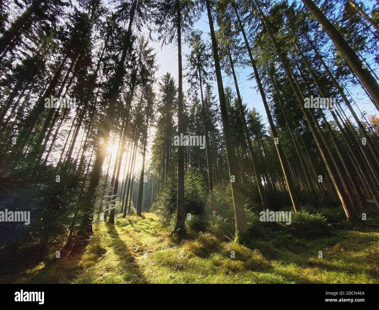 1980s alternative energy hi-res stock photography and images - Alamy