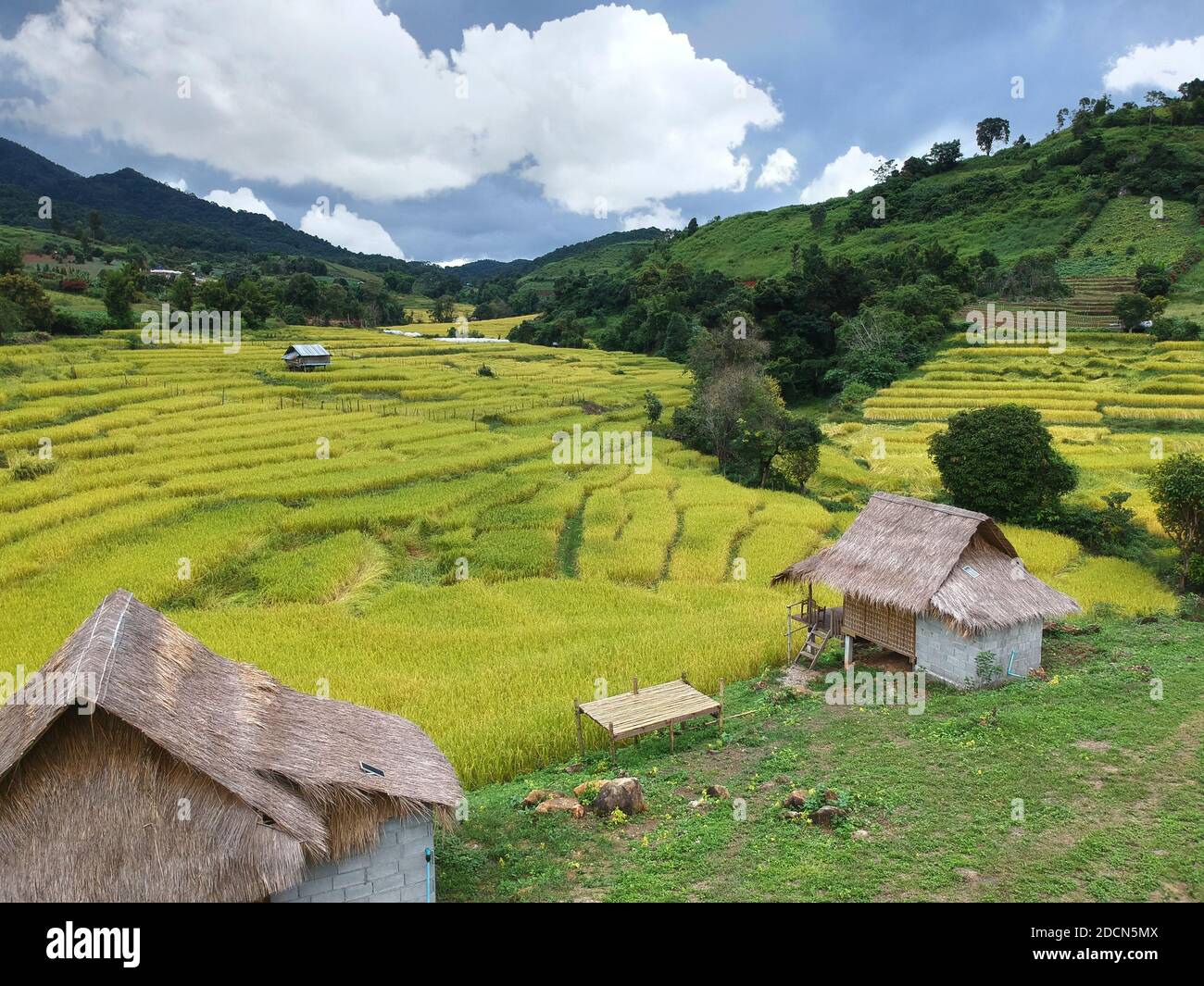 The bird eye view of rice terrace at Chom Thong District in Chiang Mai ...