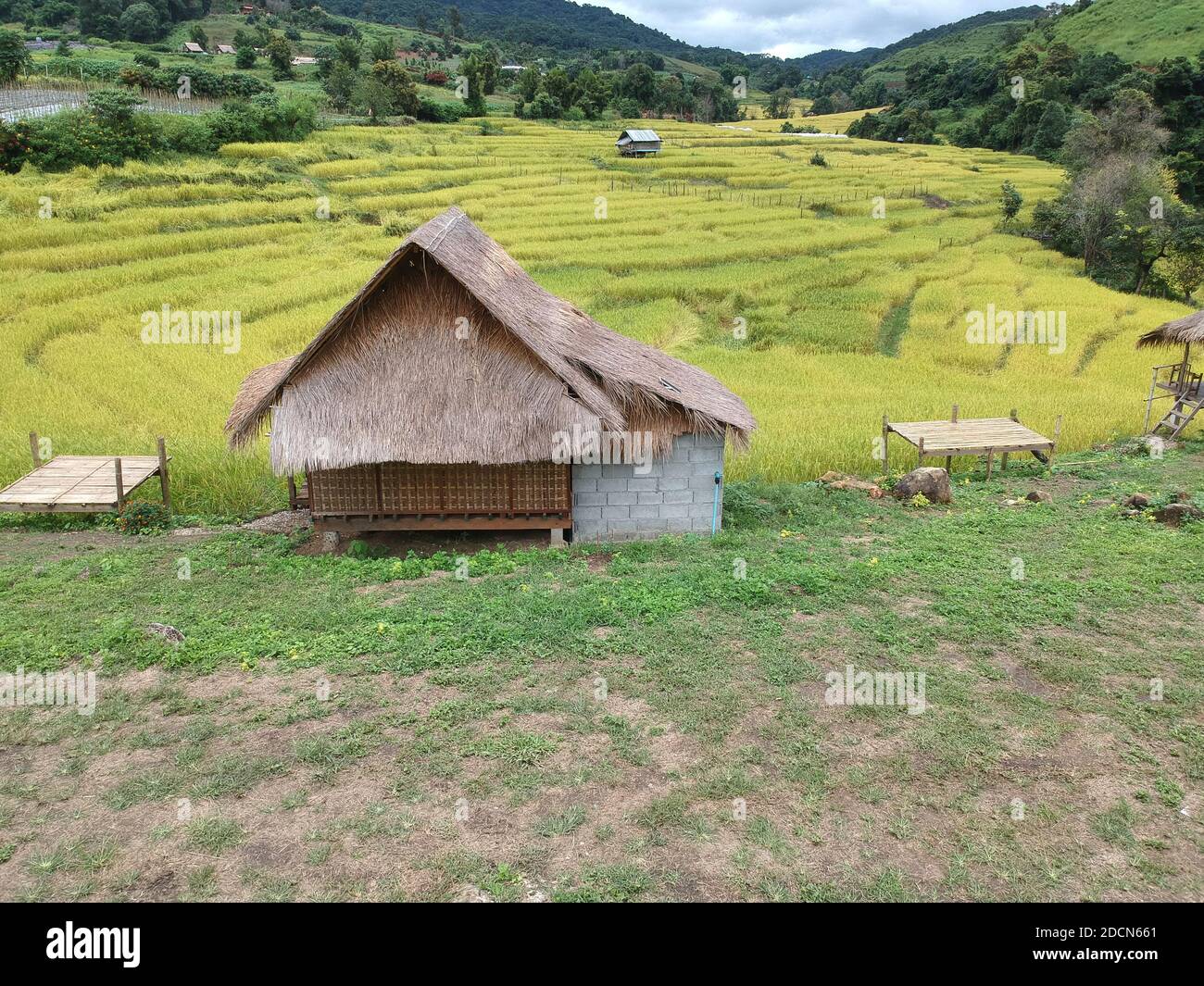 The bird eye view of rice terrace at Chom Thong District in Chiang Mai ...