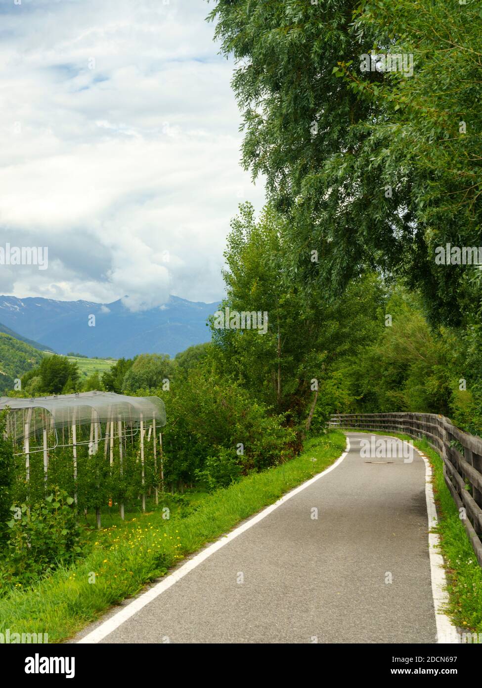 Summer landscape along the cycleway of the Venosta valley and the Adige ...