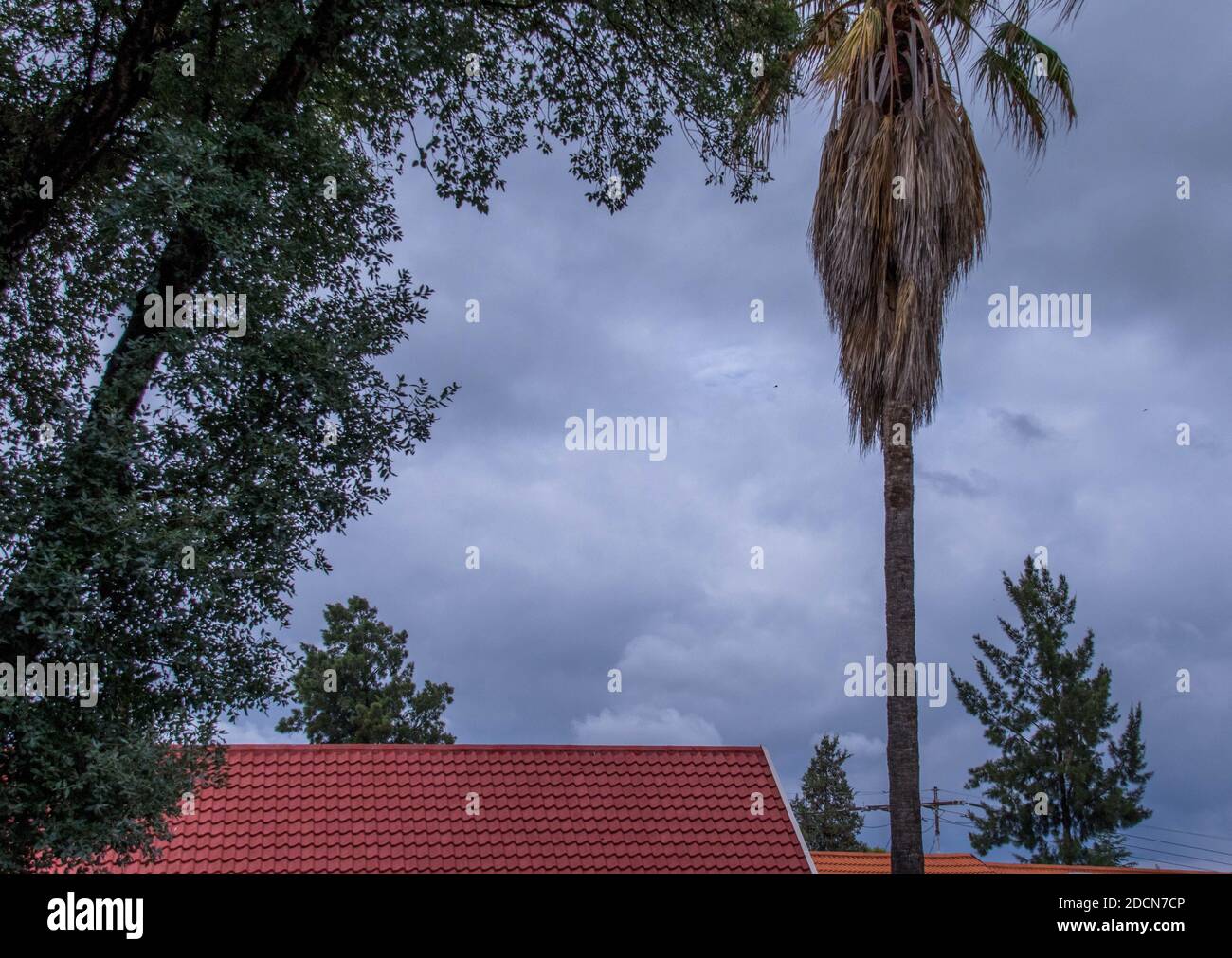 Seasonal summer storm weather over the Highveld in Gauteng province ...