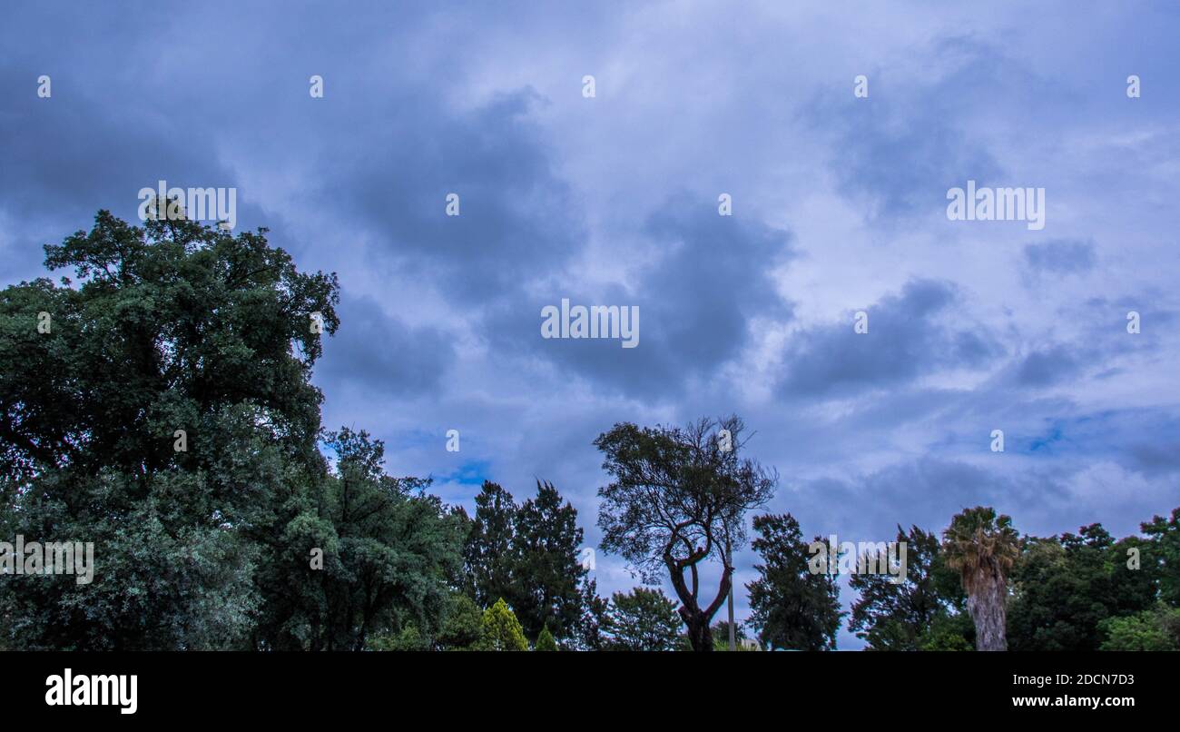 Seasonal summer storm weather over the Highveld in Gauteng province ...