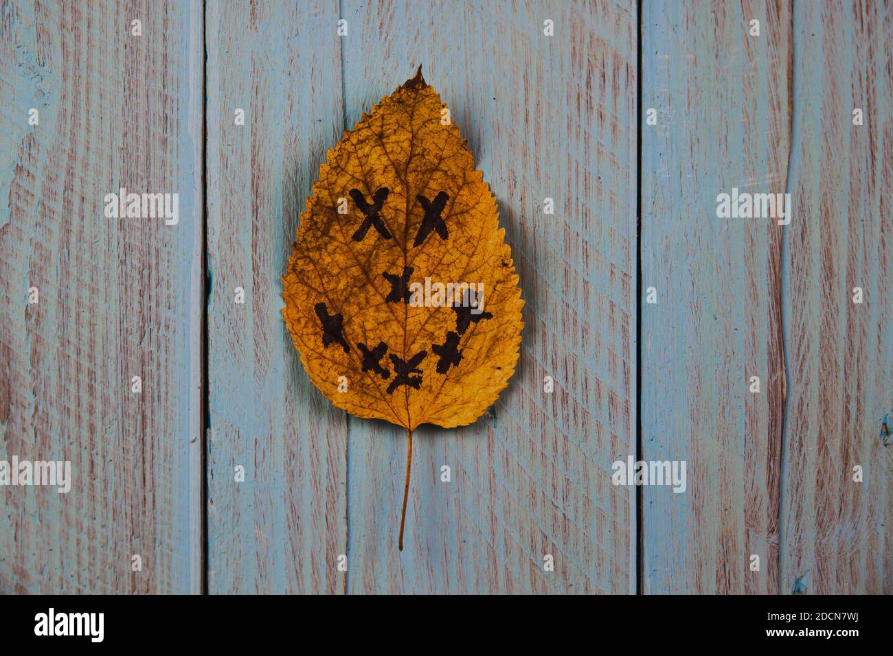Funny smiley emoticon face drawn on a yellow golden leaf Stock Photo ...