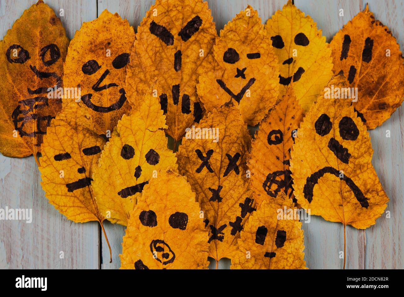 A pile of funny smiley emoticon face drawn on golden autumn leaves top ...