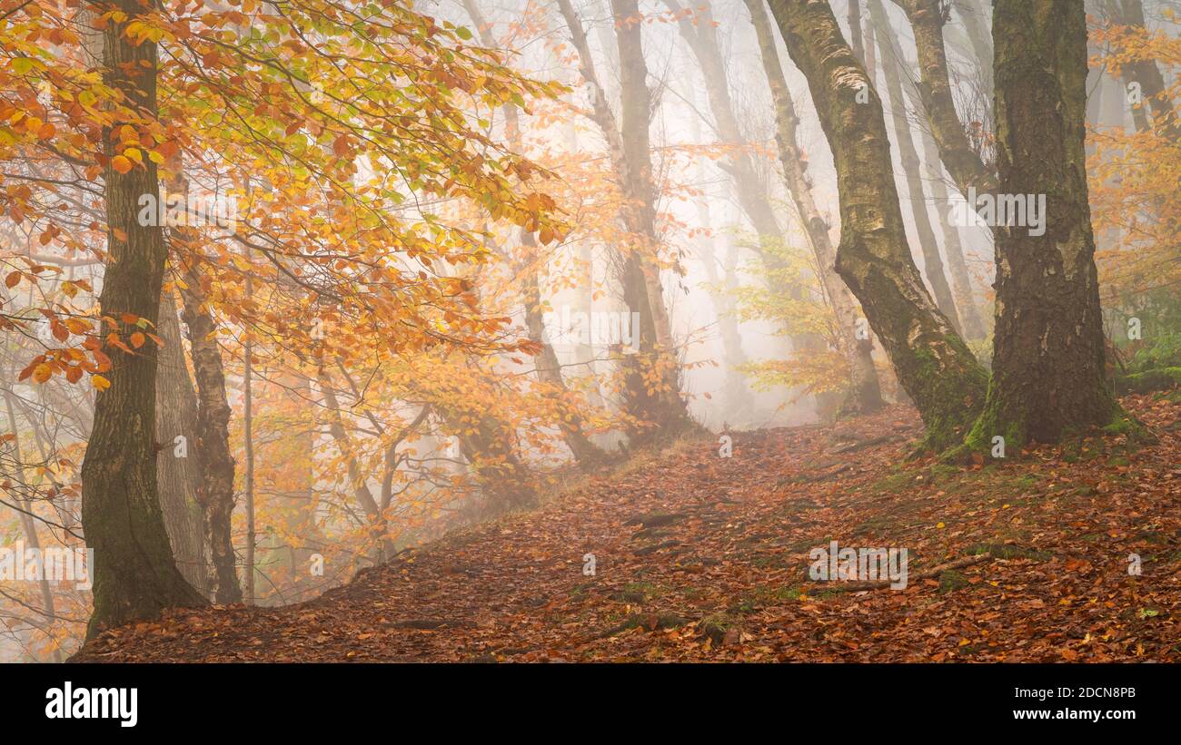 Framing the fade hi-res stock photography and images - Alamy