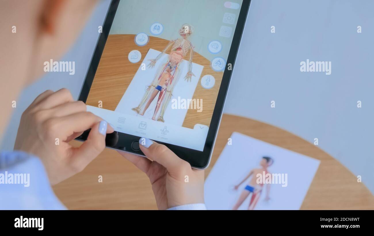 Woman using tablet with augmented reality app: 3d model of human body ...