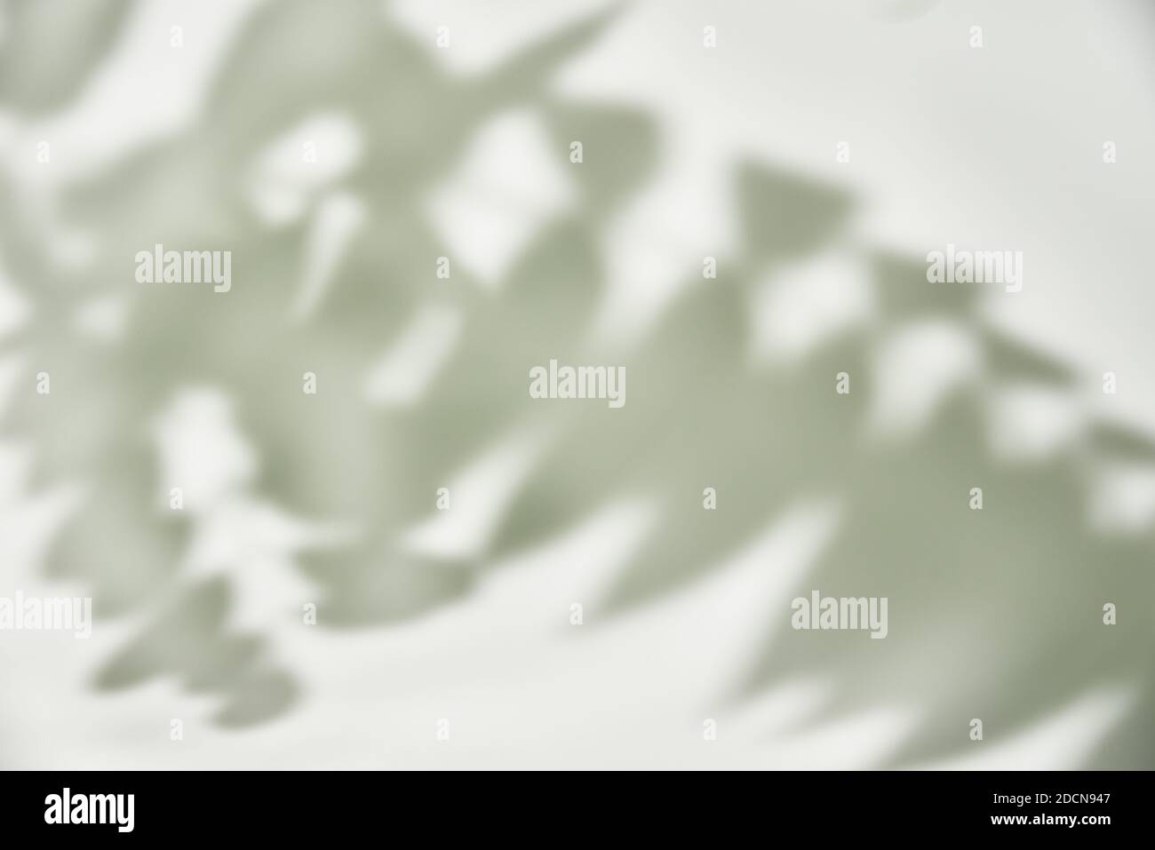 Leaf shadow on white background. Creative abstract background. Nature ...