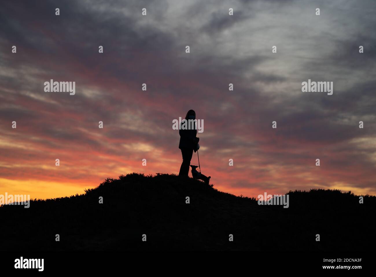 Master and Dog in Silhouette Stock Photo - Alamy