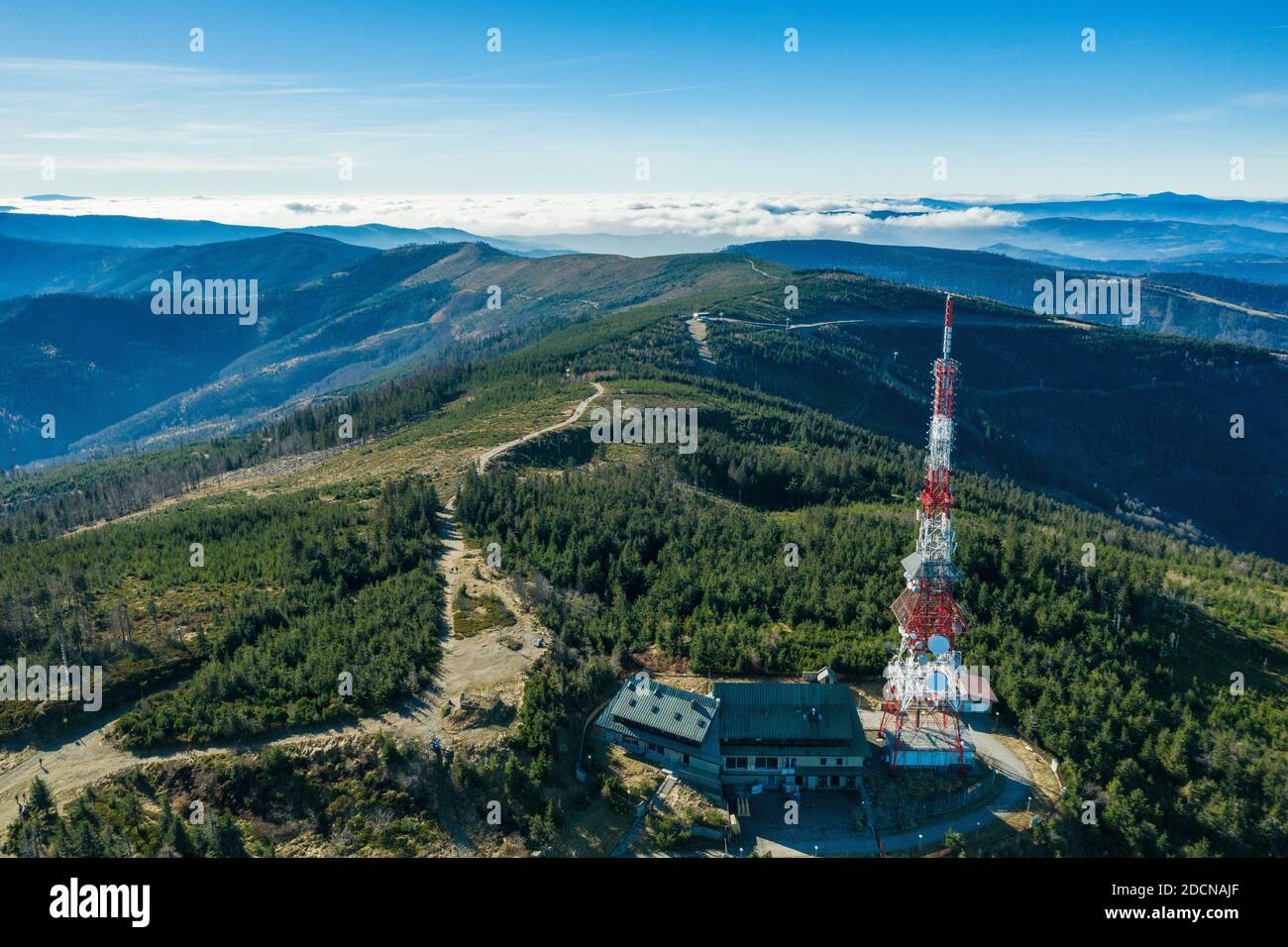 Magurka wislanska hi-res stock photography and images - Alamy
