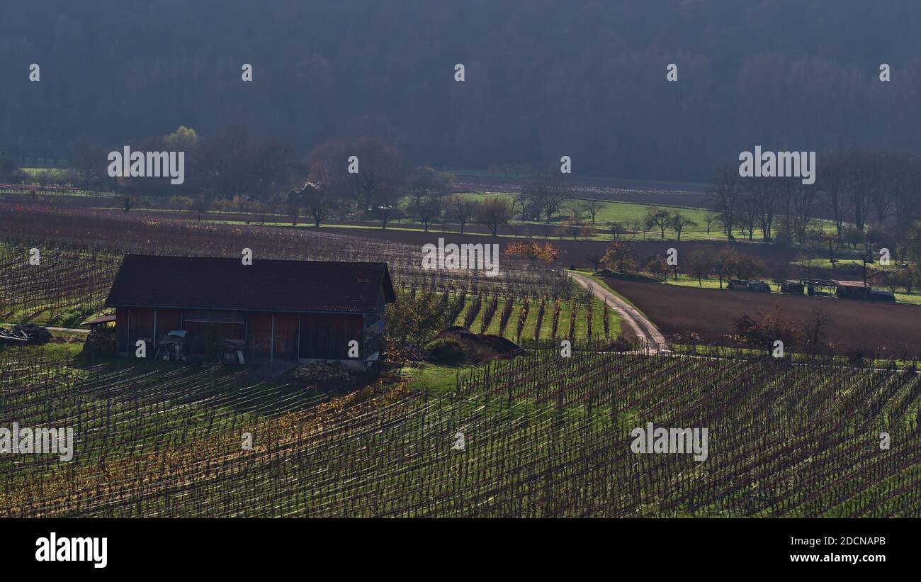 Aerial view of single wooden shed located between parallel lined ...