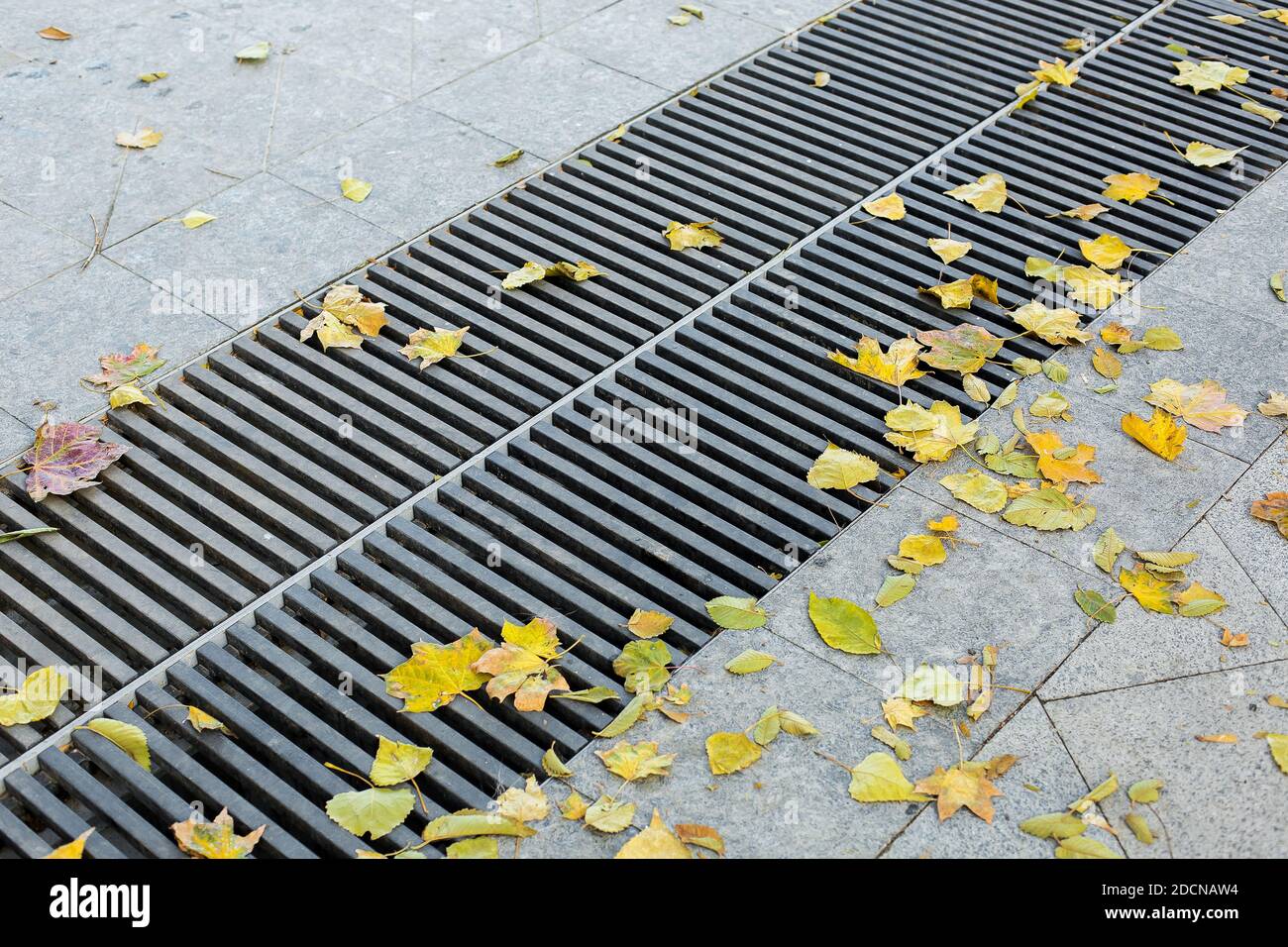 grating of the drainage storm system on the pedestrian park sidewalk ...