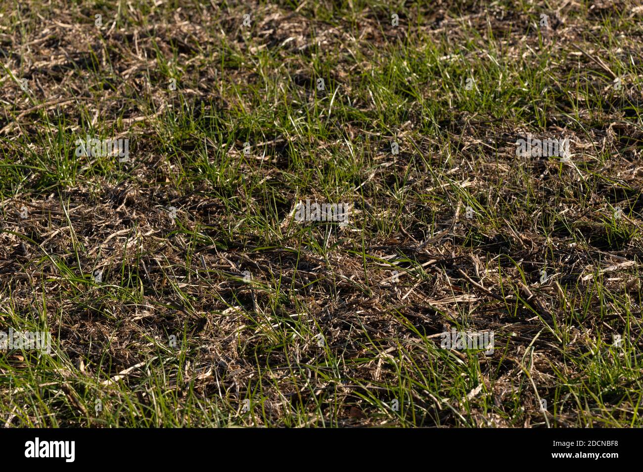 Agricultural soil background texture close-up after the harvest with ...