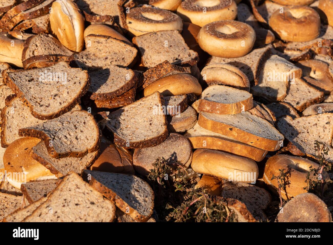 Animal waste recycling hi-res stock photography and images - Alamy