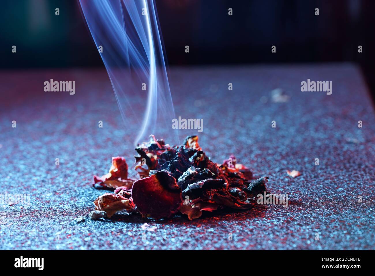 Burnt petals hi-res stock photography and images - Alamy