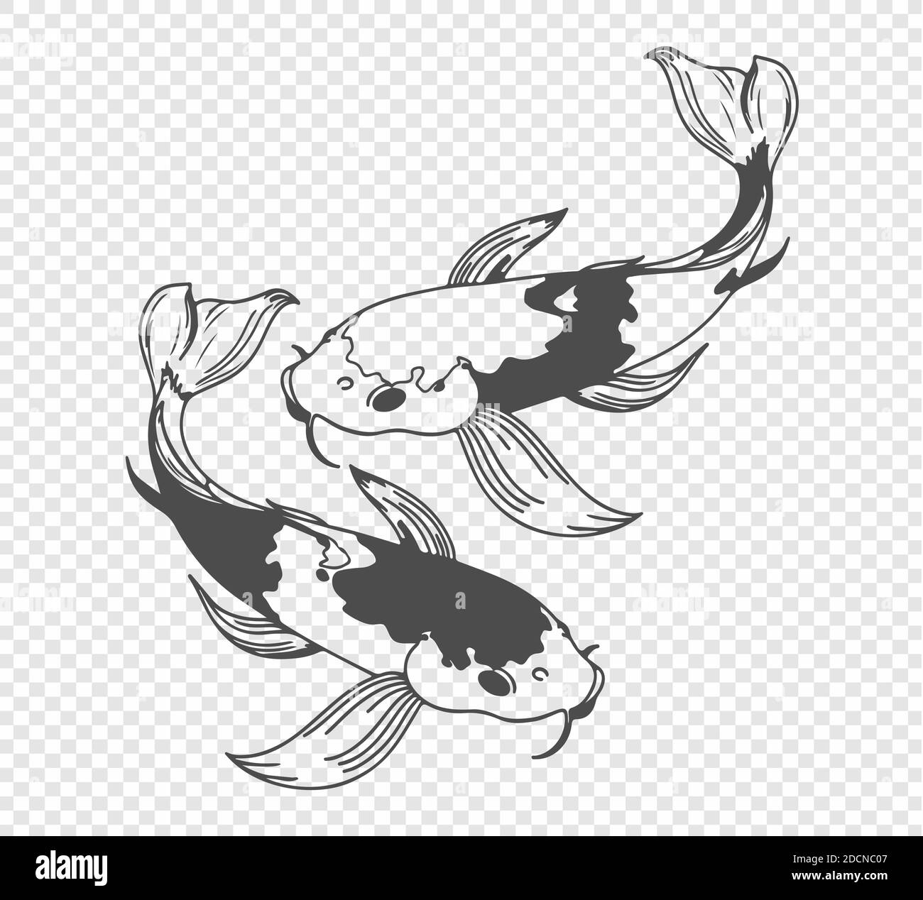 Carp fish outline vector Stock Vector Images - Alamy