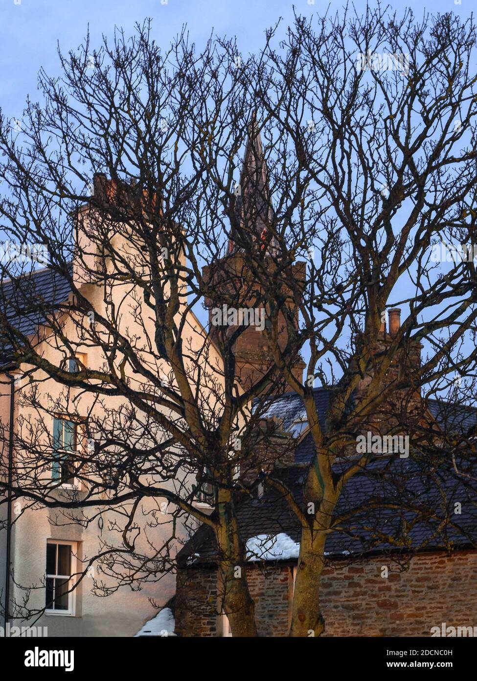 Tree branches in front of traditional scottish small town buildings in ...