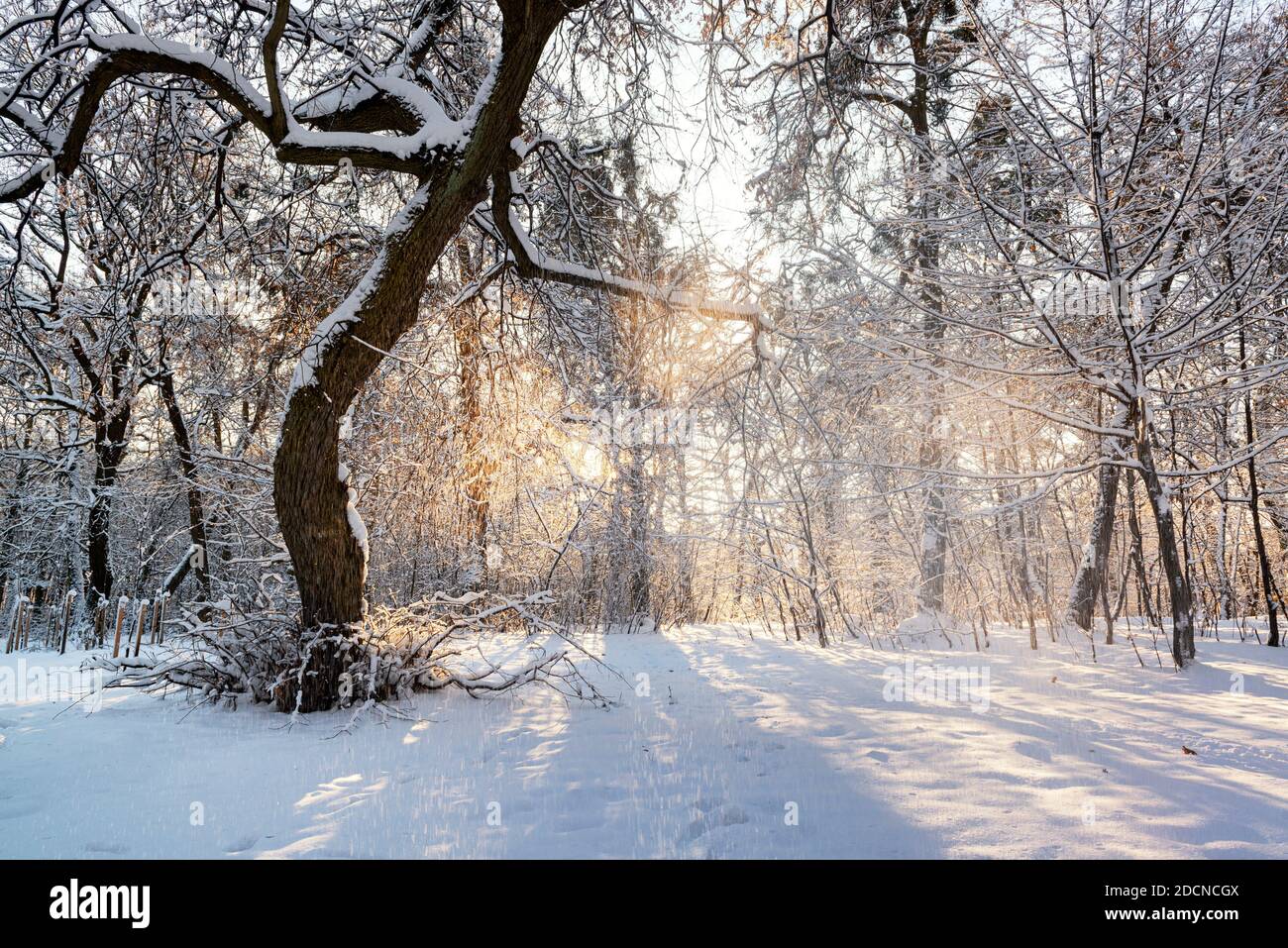 Freez hi-res stock photography and images - Alamy