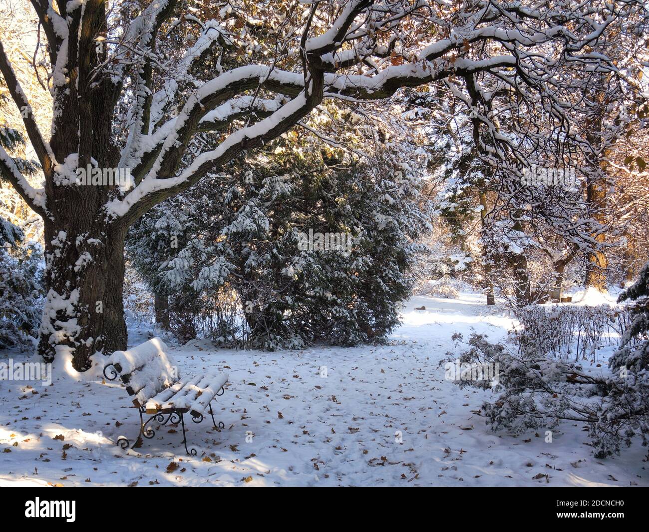 Winter park bench hi-res stock photography and images - Alamy