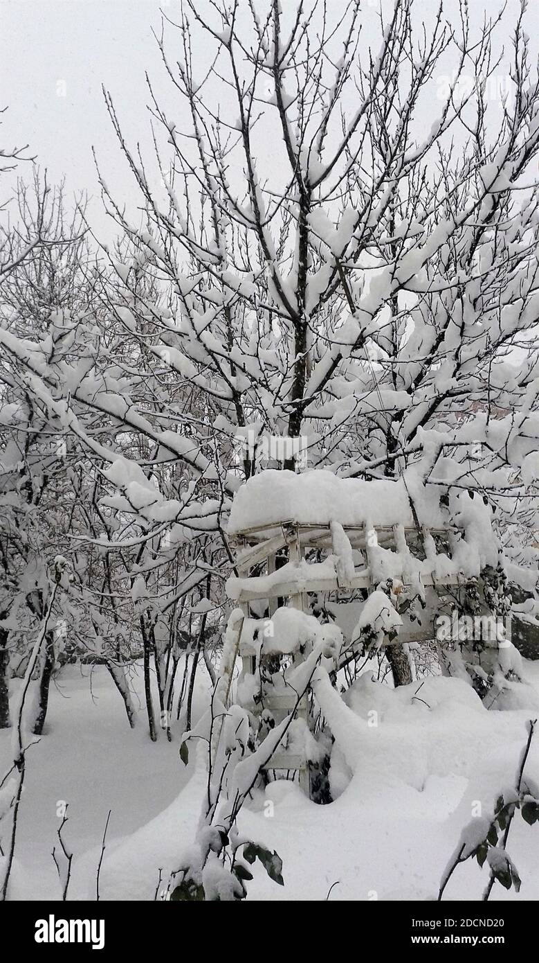 A snowy garden. Fresh snow in the backyard. Snow-covered trees and ...