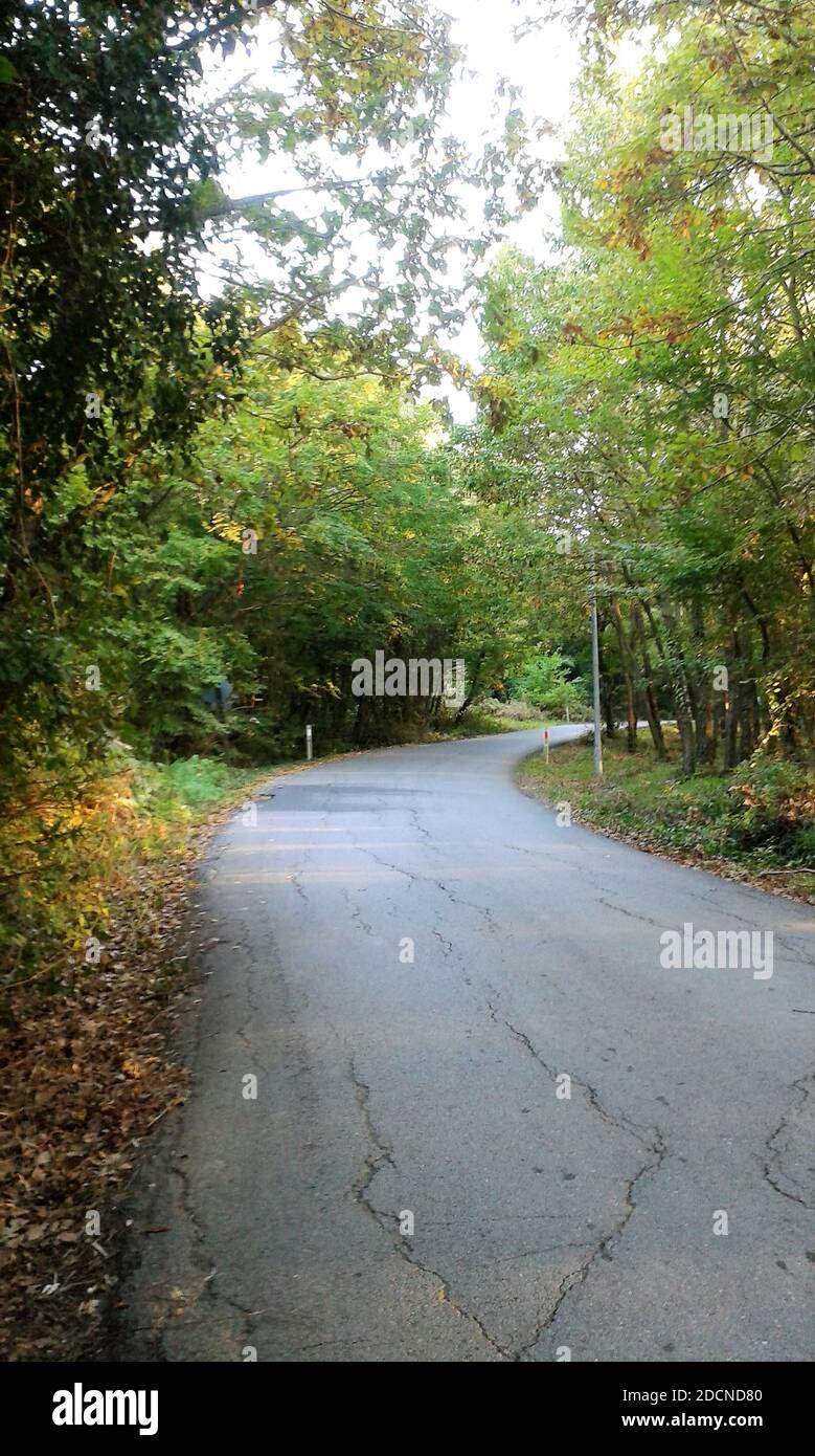 Belgrade forest istanbul hi-res stock photography and images - Alamy