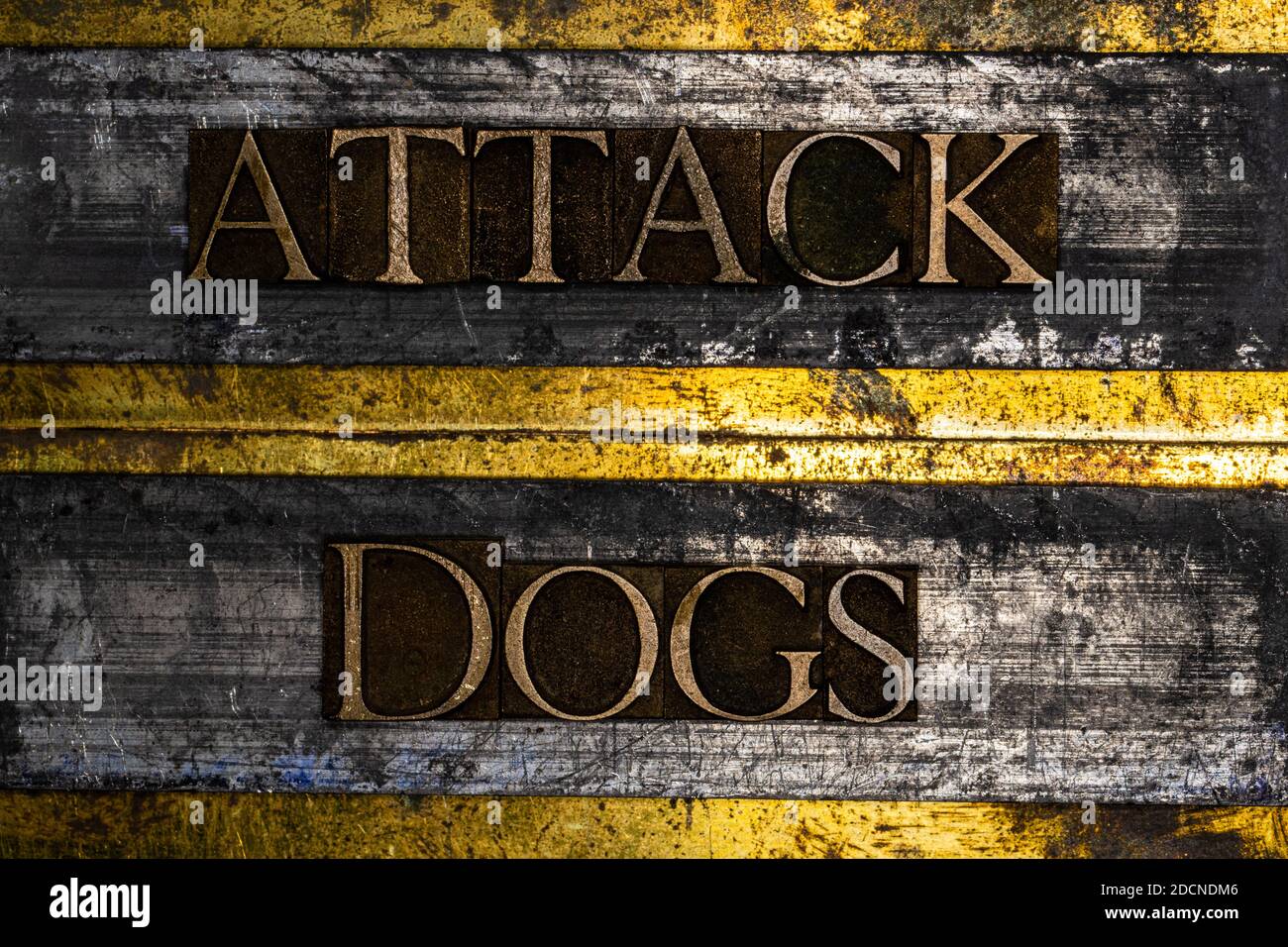 Attack Dogs text on textured lead with grunge copper and vintage gold ...