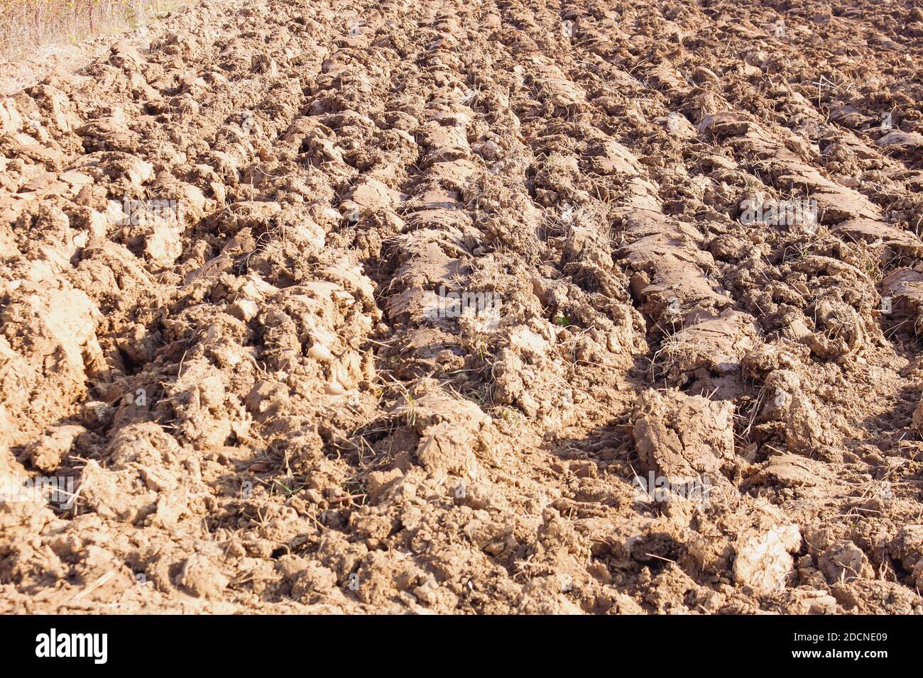 Rough plowed field. Texture of cultivated land Stock Photo - Alamy
