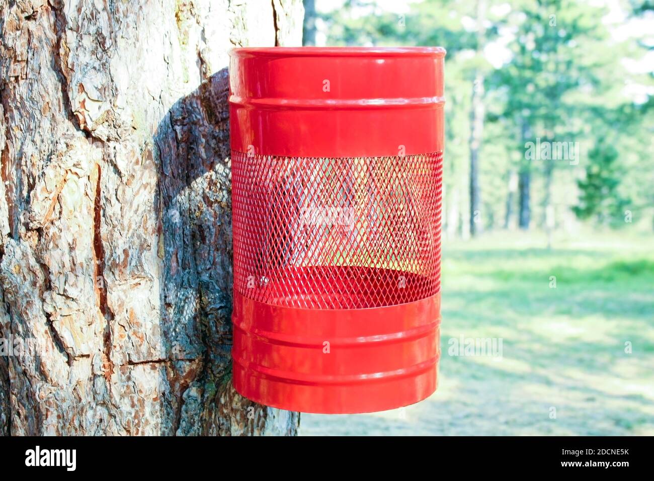 Red trash basket hanging on the tree in beautiful green forest Stock ...