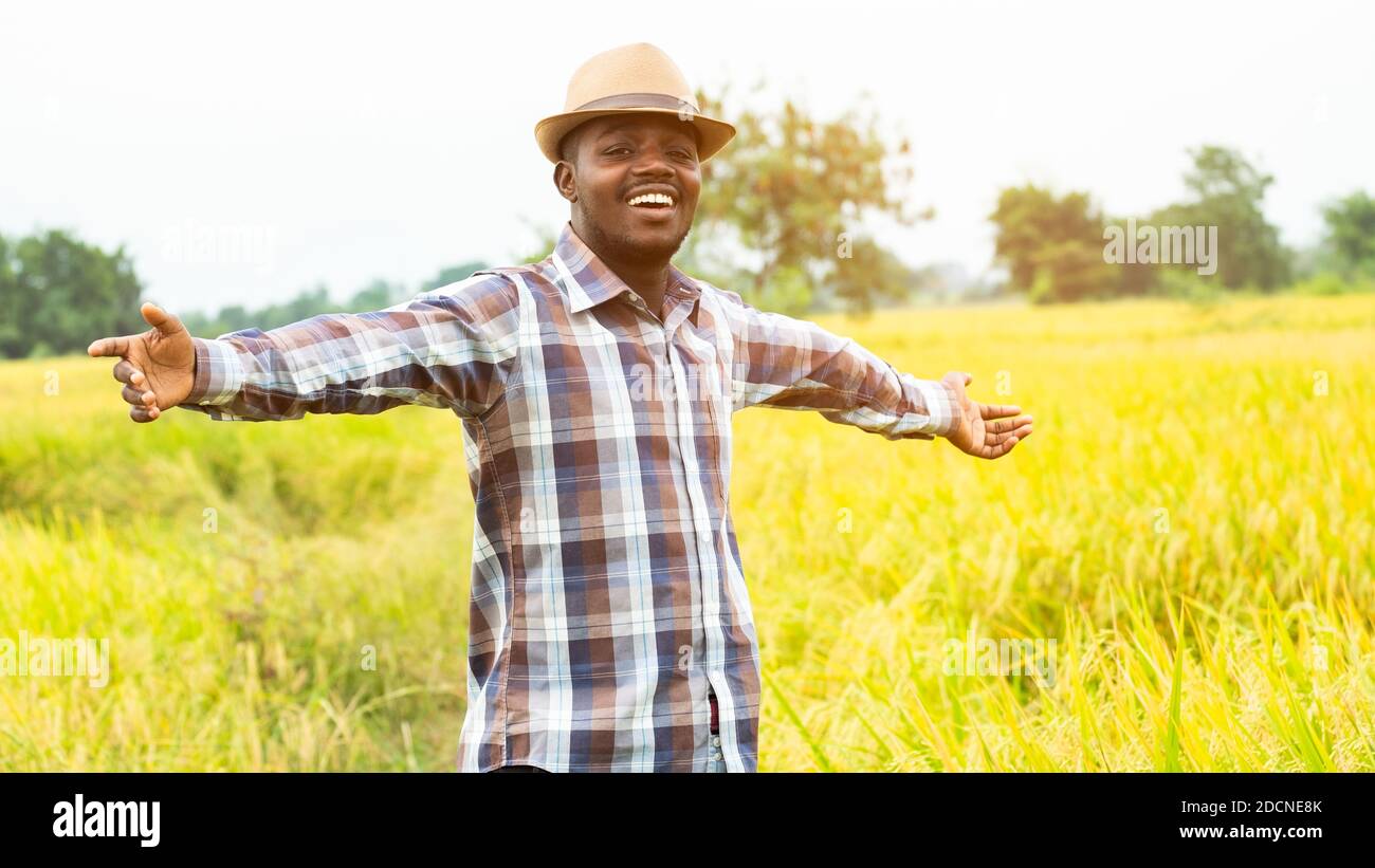 African farmer standing in organic rice field with smile and happy ...