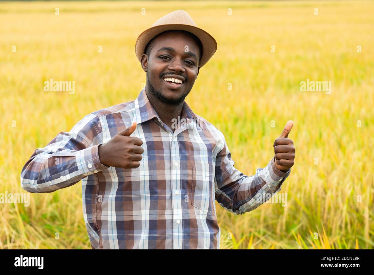 African farmer standing in organic rice field with smile and happy ...