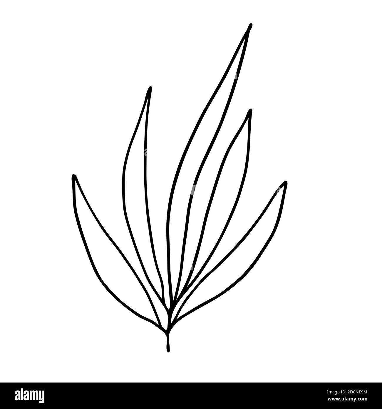 Leaves simple outline vector minimalist concept illustration, thin line ...