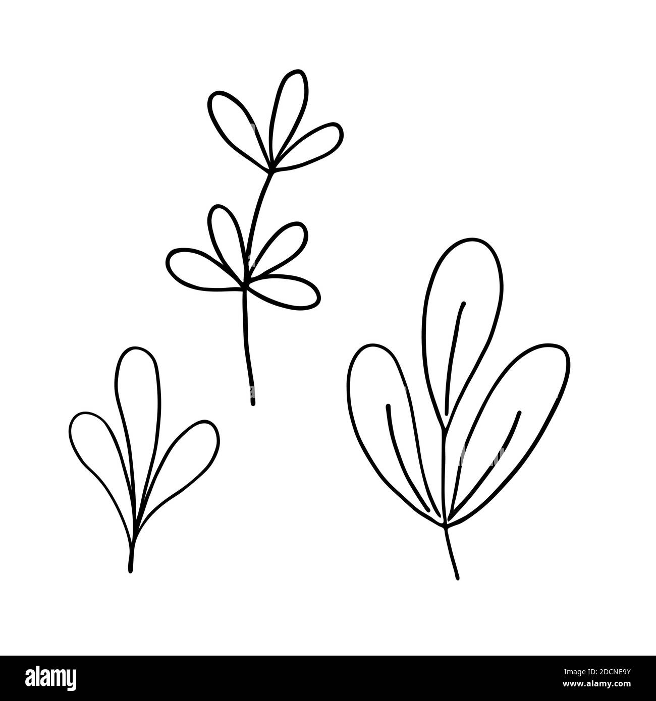Leaves simple outline vector minimalist concept illustration, thin line ...
