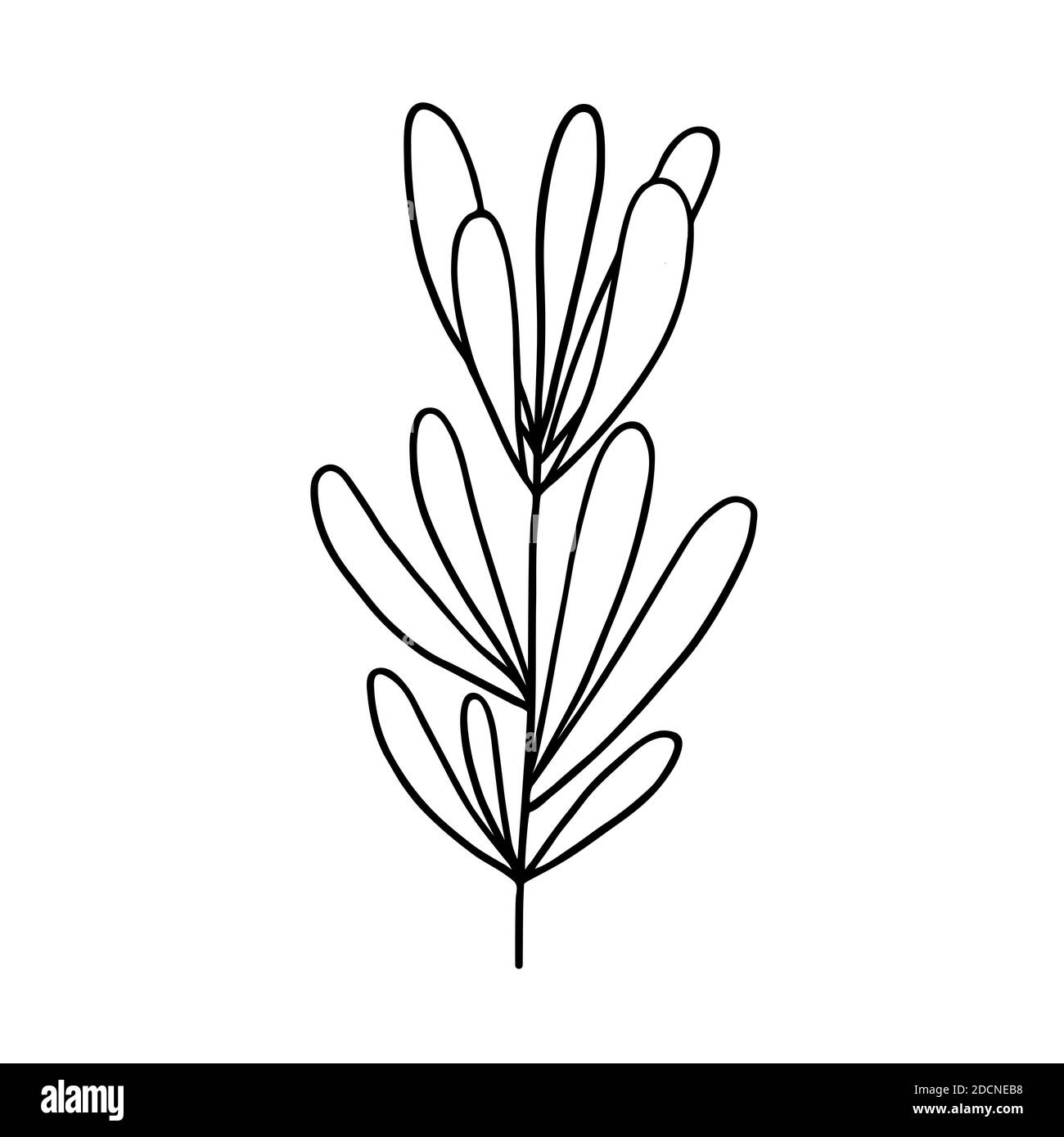 Leaves simple outline vector minimalist concept illustration, thin line ...