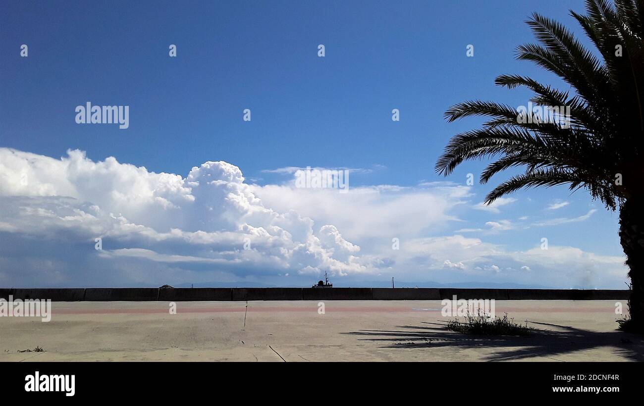 Istanbul, Maltepe Beach. Palm tree, sky and clouds Stock Photo - Alamy