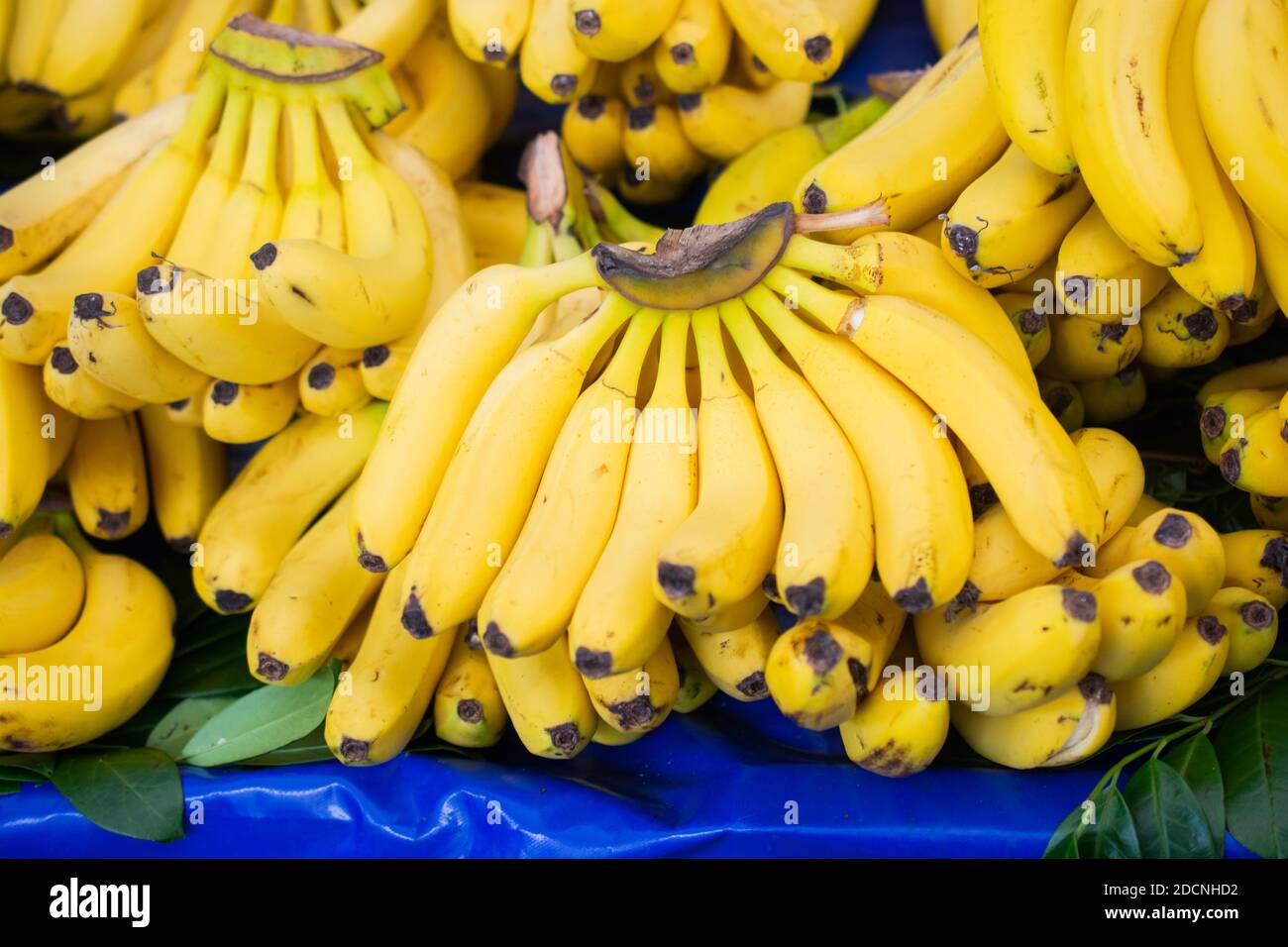 Bunch of yellow bananas fruit at market Stock Photo - Alamy