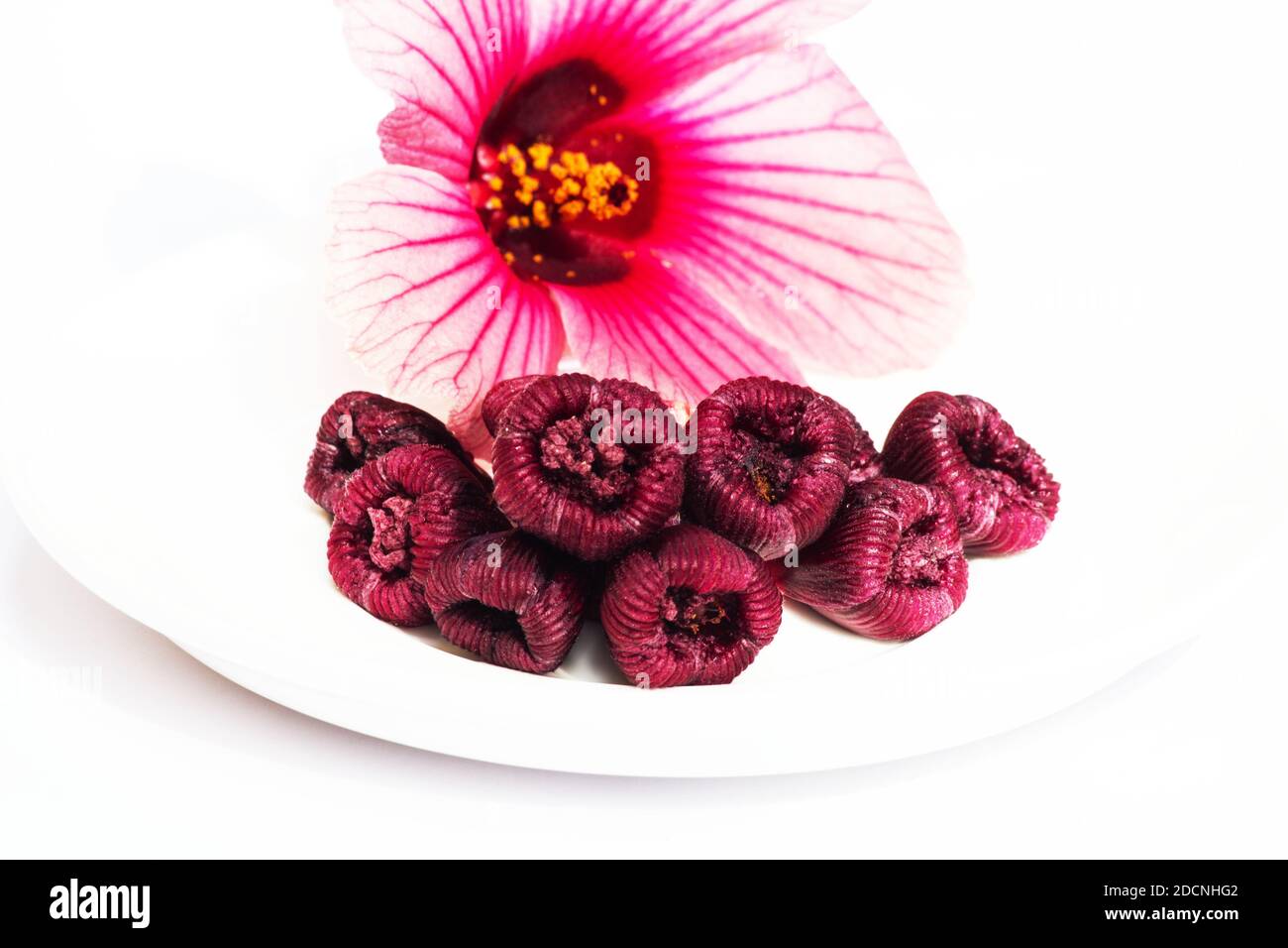 Roselle on white background Stock Photo - Alamy