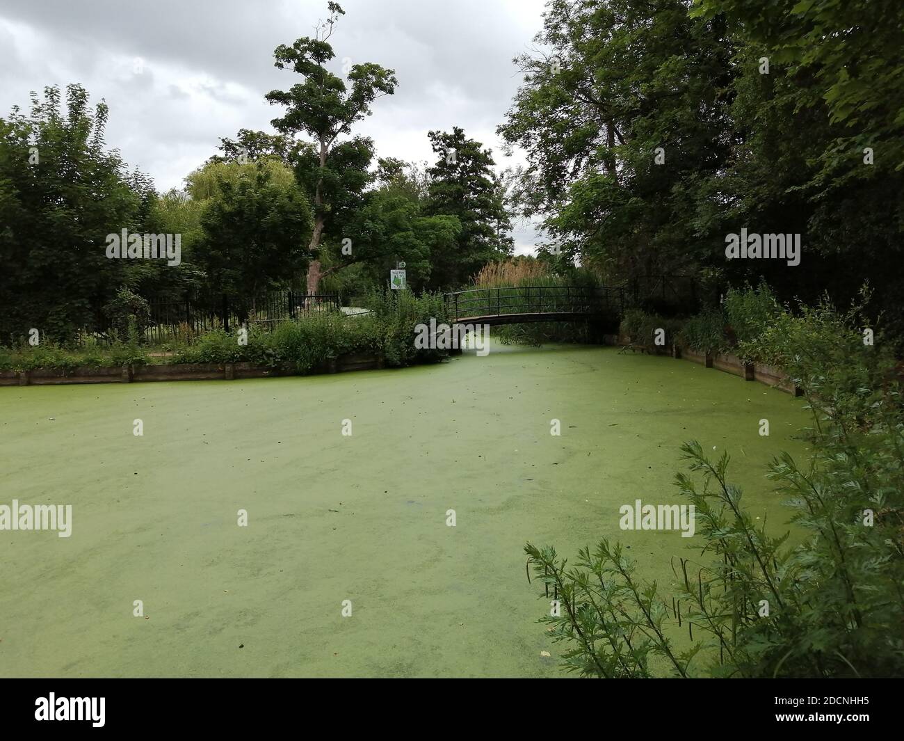 Trees, meadows, green river, clouds and a footpath in Town Park. A view ...