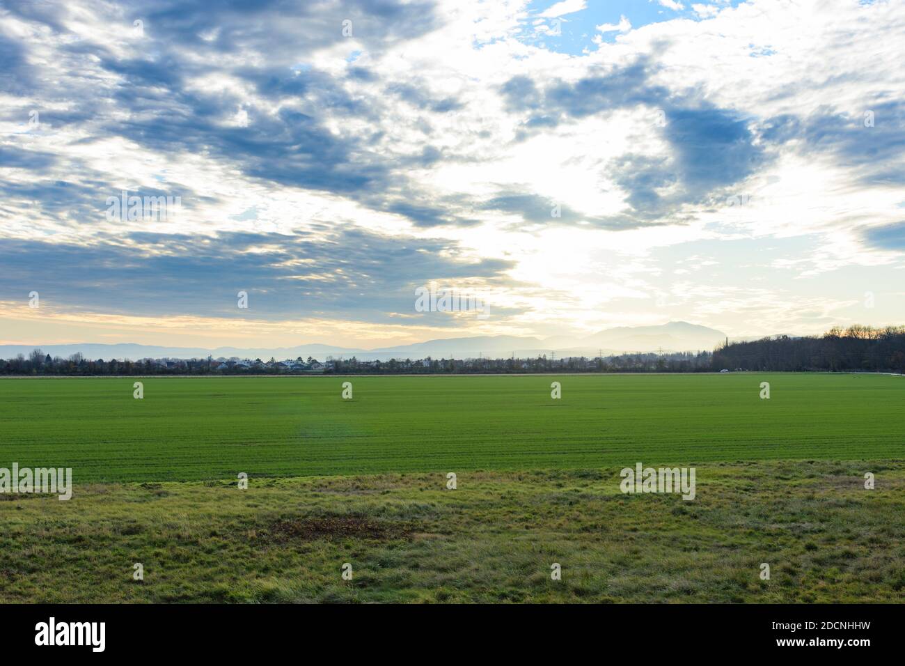 Vienna basin hi-res stock photography and images - Alamy