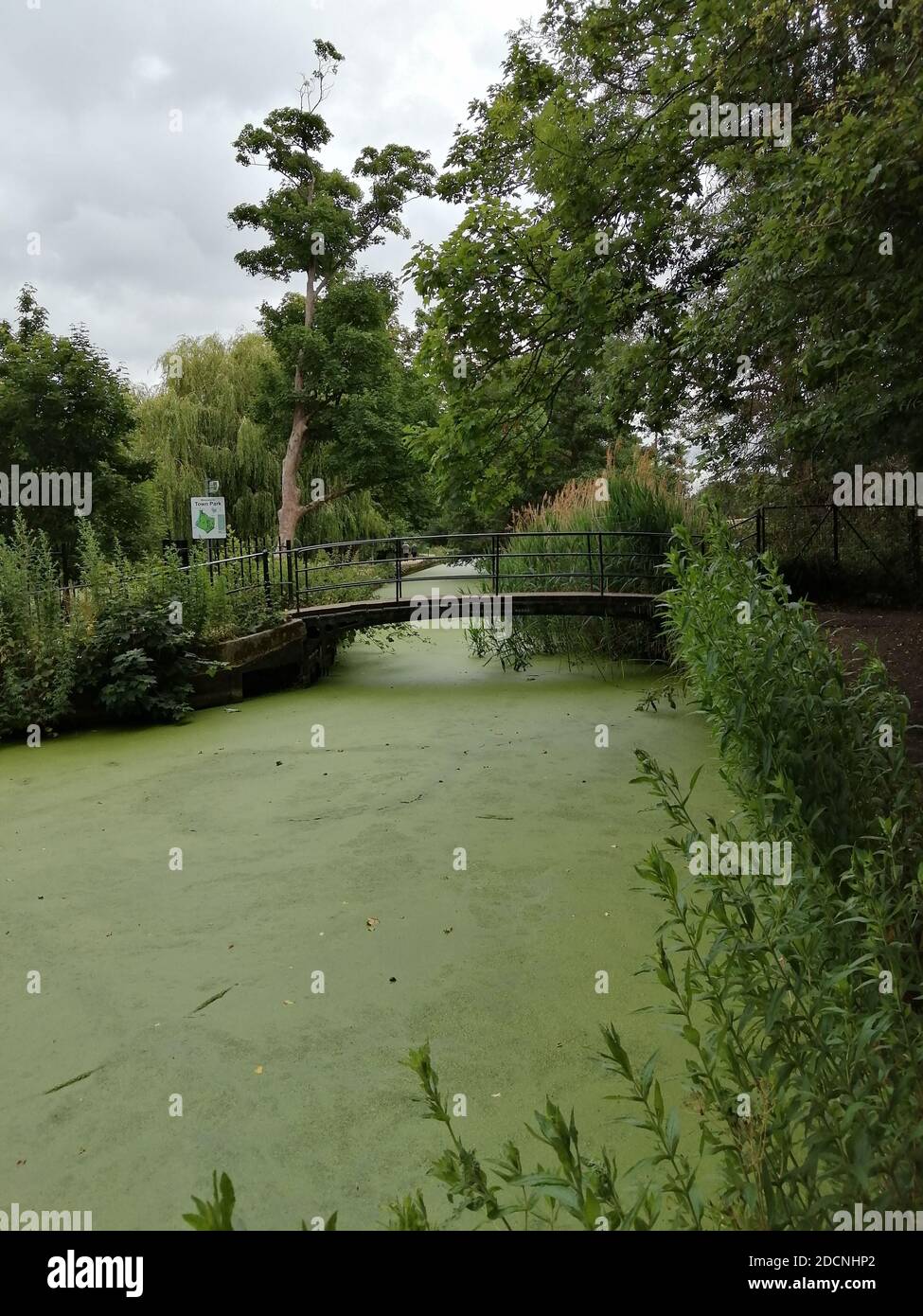 Trees, meadows, green river, clouds and a footpath in Town Park. A view ...