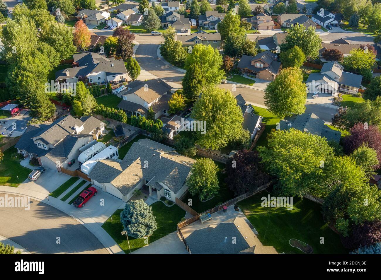 Trees will open spaces in an above view of a subdivision Stock Photo ...