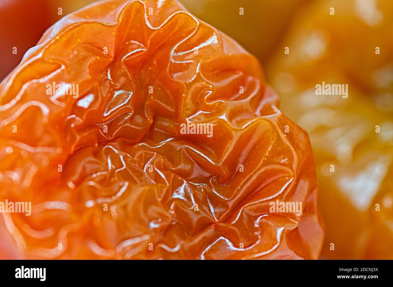 Rotten red cherry tomatoes macrophotography. Natural textures Stock ...