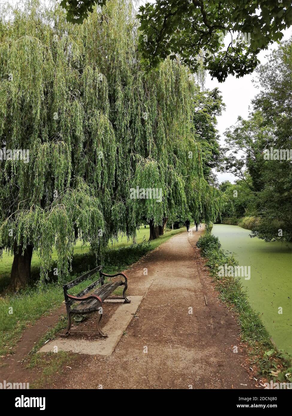 Trees, meadows, green river, clouds and a footpath in Town Park. A view ...