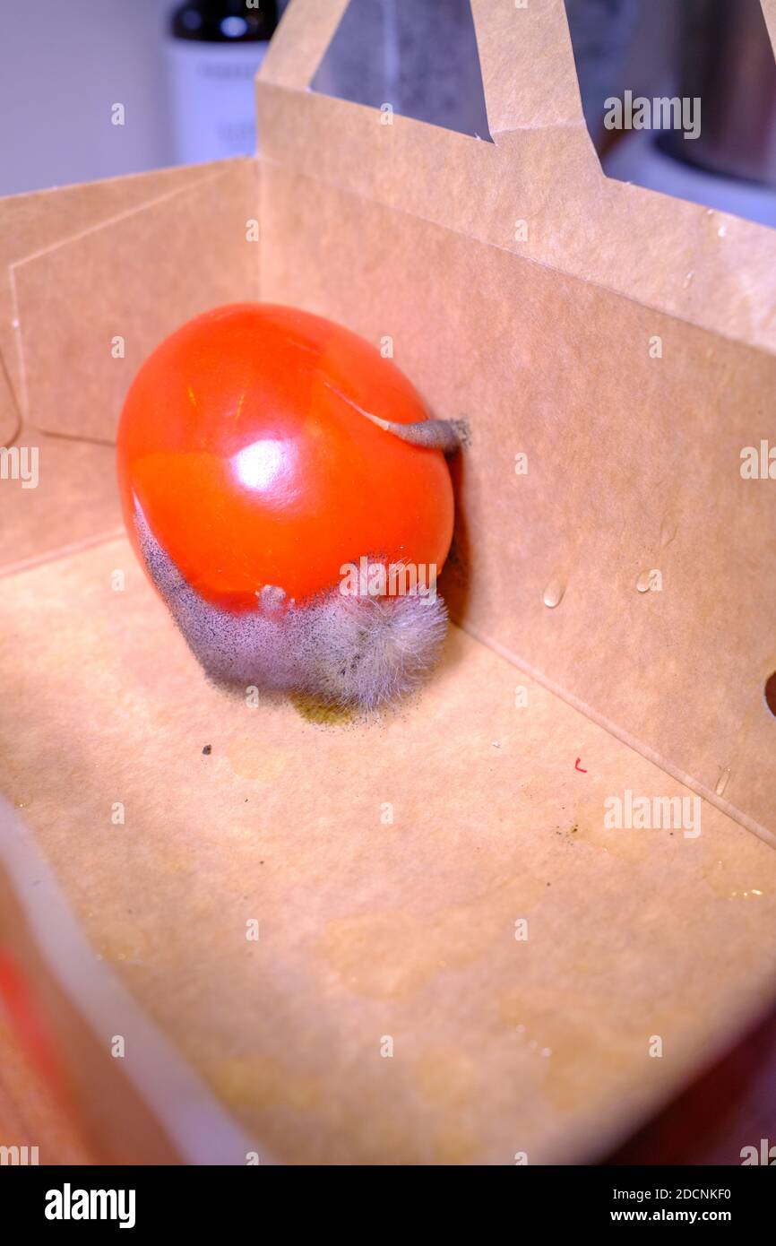 Emballage fromage hi-res stock photography and images - Alamy