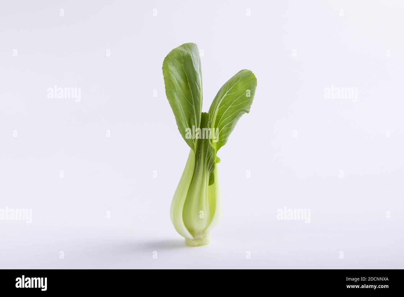 A Chongming green vegetable isolated on a white background Stock Photo ...