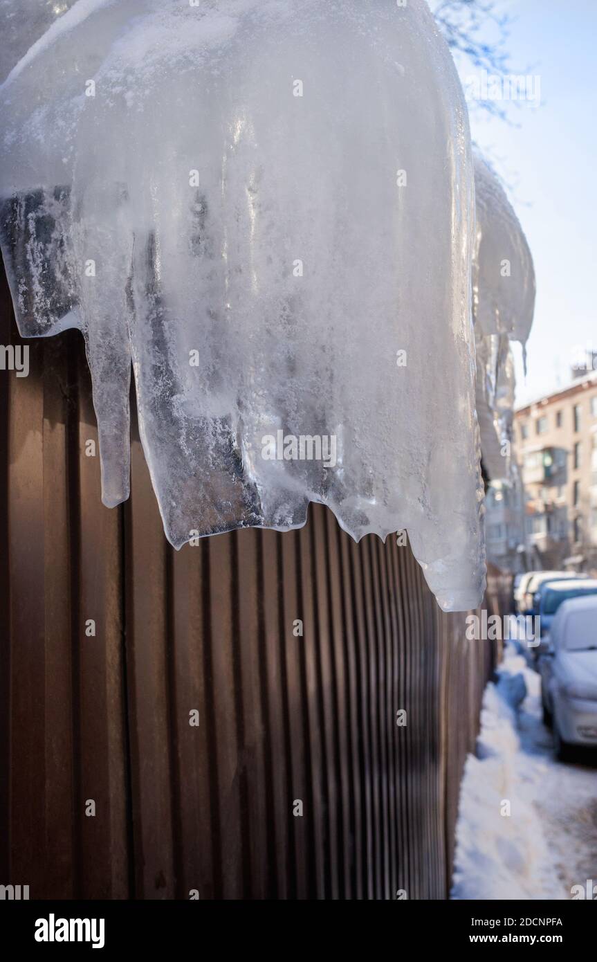 Large icicles on the background of a metal fence. Danger of ice on ...