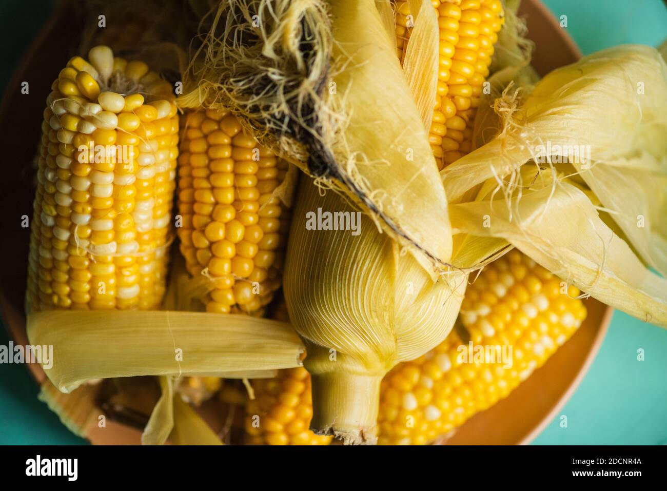 Boiled corn - portioned chunks. Boiled corn in chunks. Corn Stock Photo ...